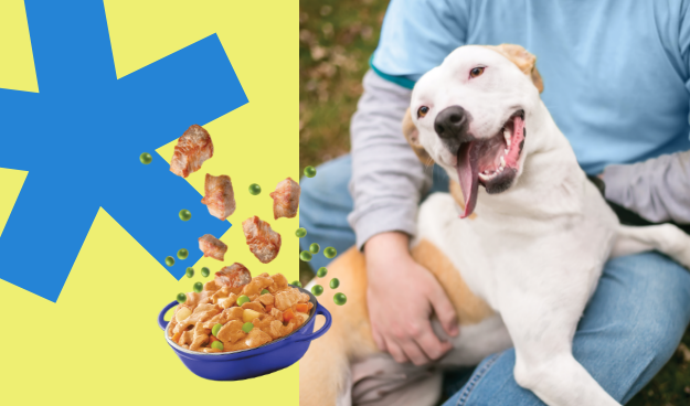 Our Ingredients® | CESAR® dog Food & Treats