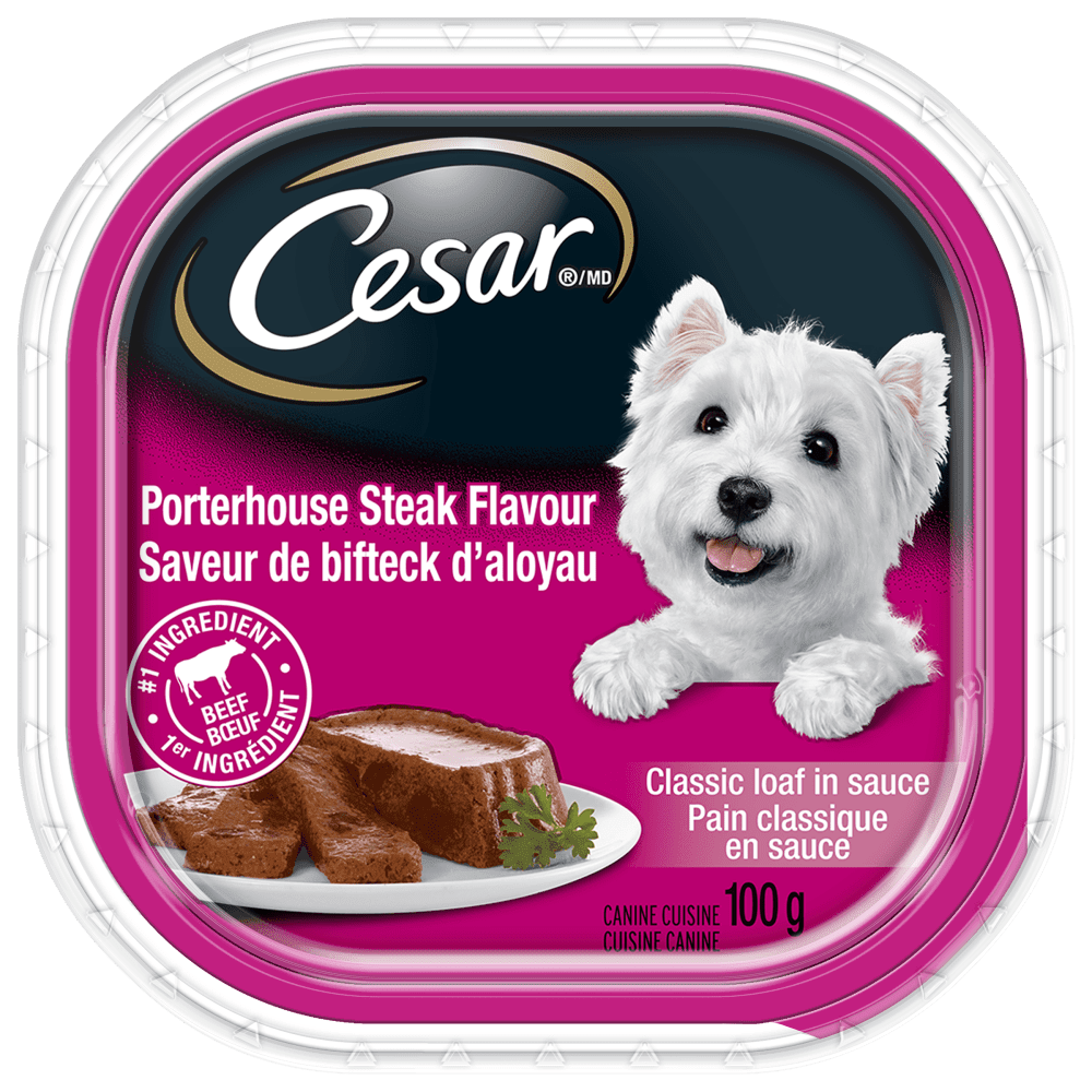 CESAR® Classic loaf in sauce Wet Dog Food, Porterhouse Steak Flavour