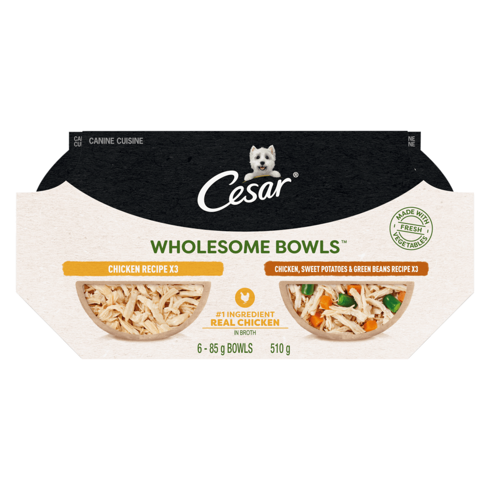 CESAR® WHOLESOME BOWLS™ Wet Dog Food, Chicken Recipe and Chicken, Sweet ...