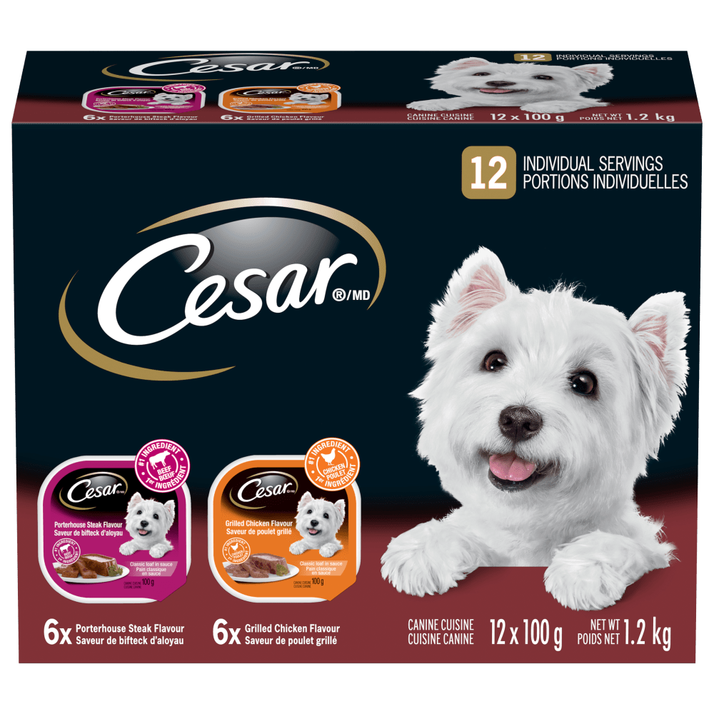 CESAR® Classic loaf in sauce Wet Dog Food, Porterhouse Steak Flavour ...